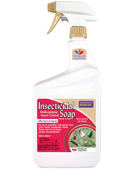Bonide Insecticidal Soap Spray Cloud Hidden Plants A Unique Plant