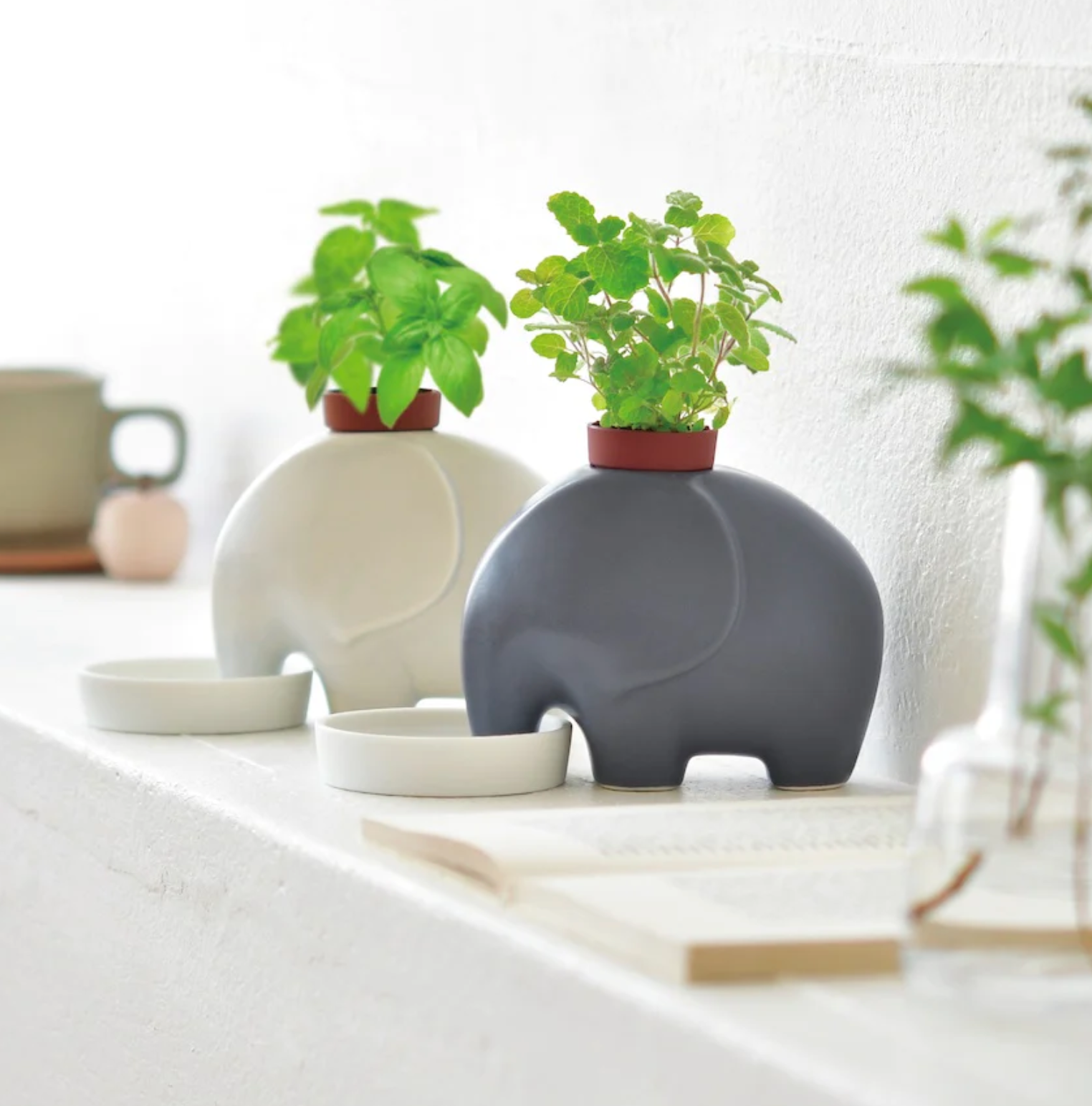 Eleplant - White Elephant Planter by Noted - Sweet Basil | Cloud-Hidden ...
