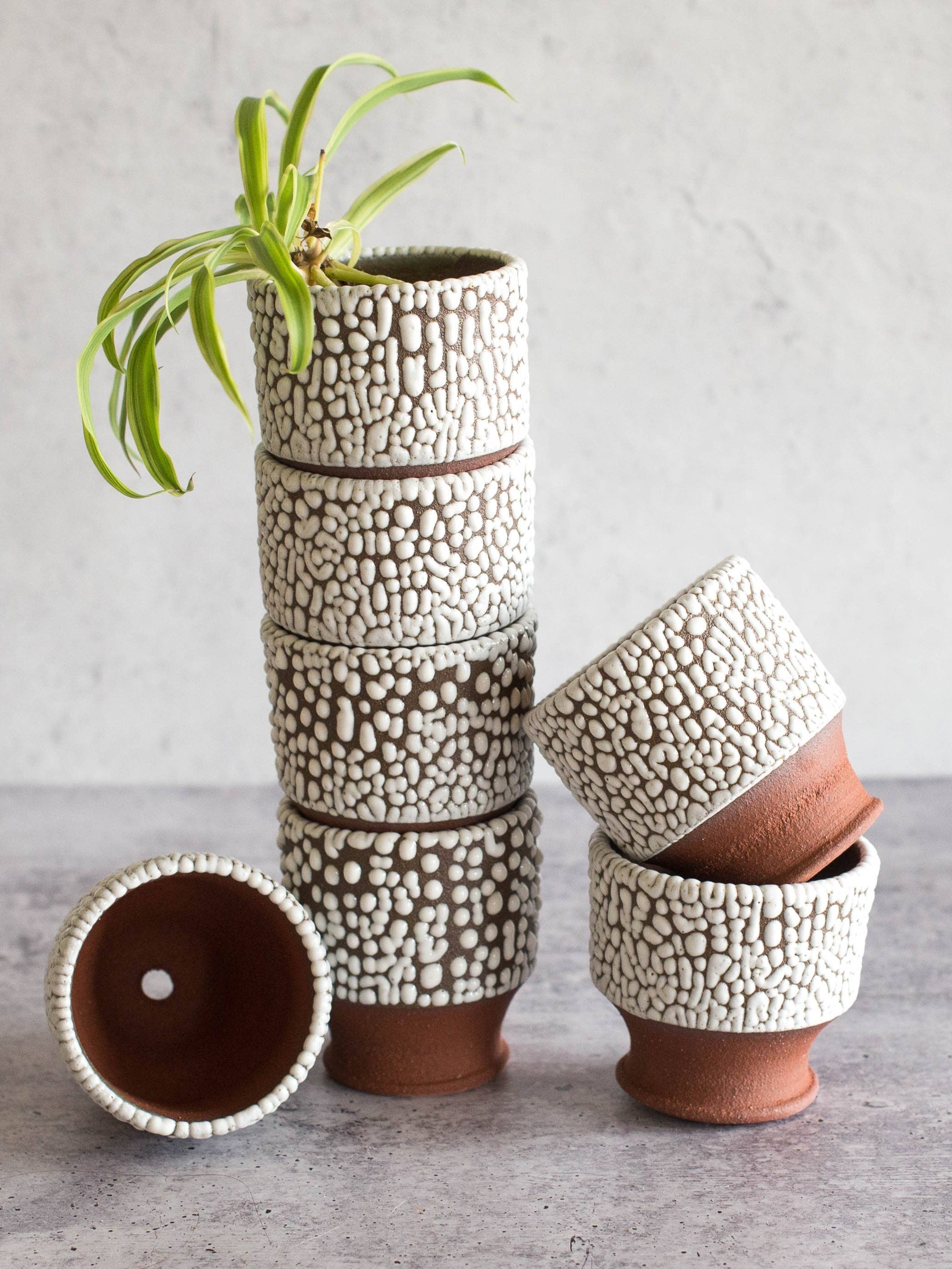 ZZIEE Ceramics - Handmade Ceramic Mini Planter: Beaded Terracotta ...