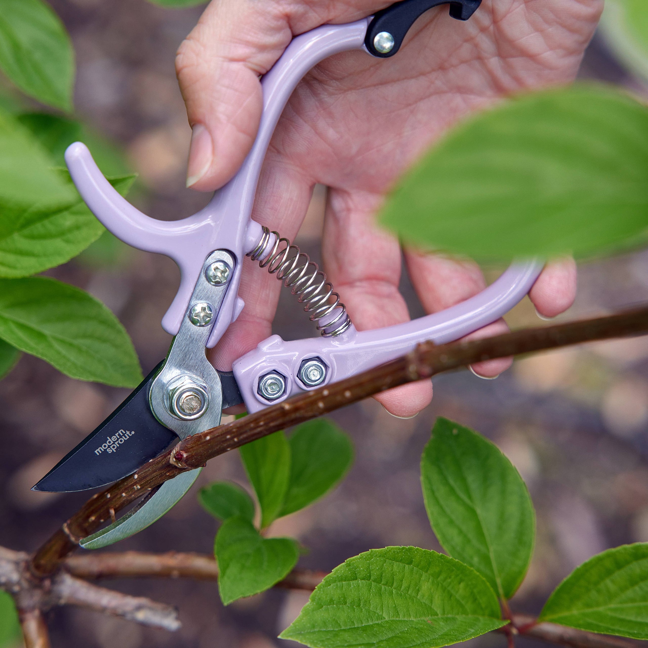 Traditional Garden Pruners - Modern Sprout | Cloud-Hidden Plants ...